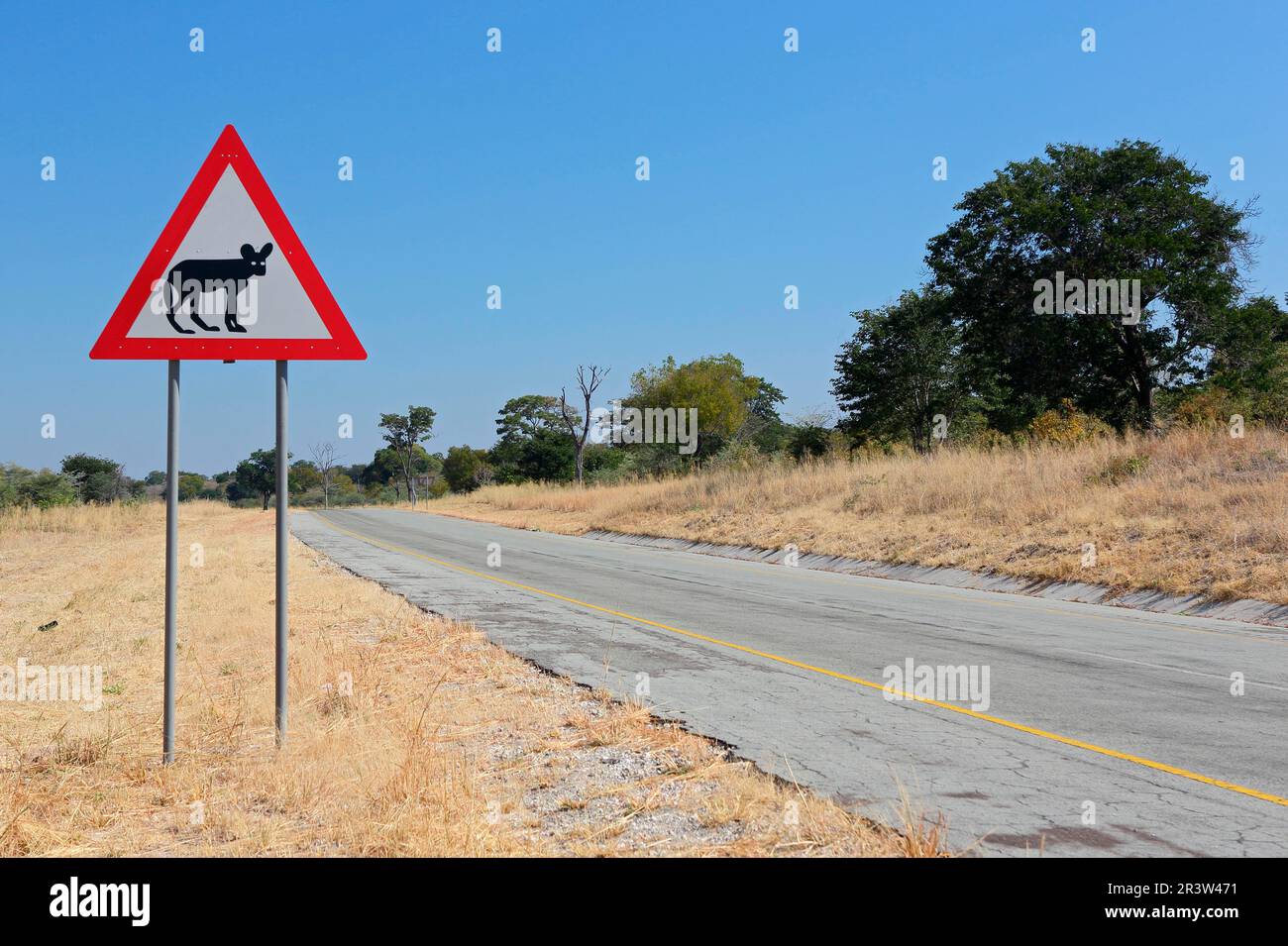 Road sign, attention bat-eared fox, road, Namibia Stock Photo - Alamy