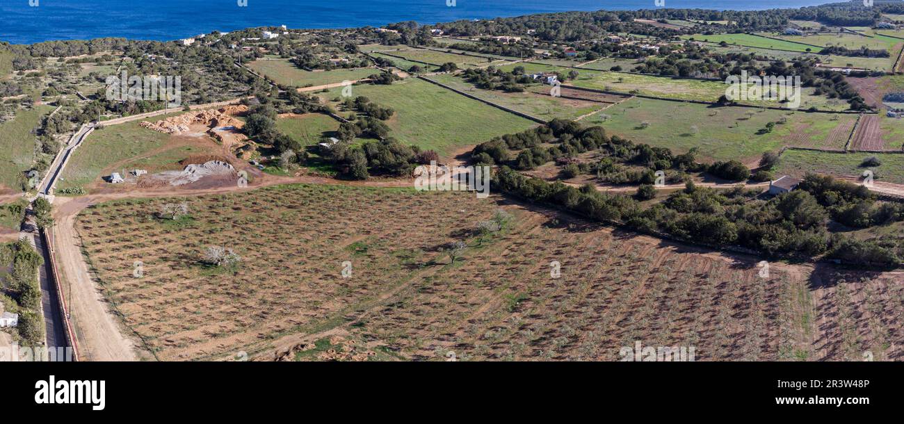 Olive grove of Marcos Ribas Stock Photo - Alamy