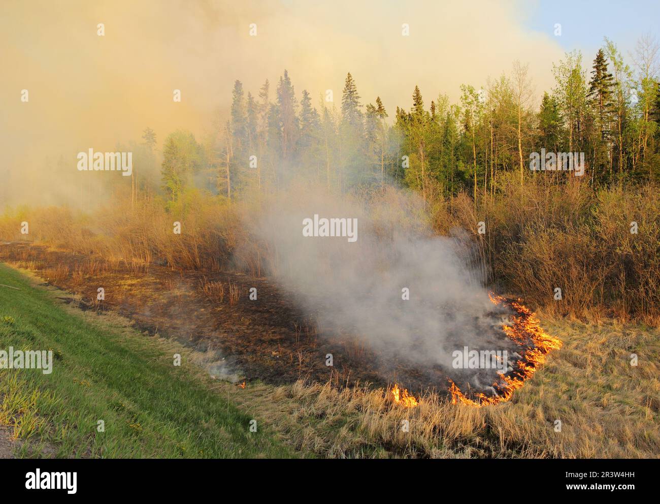Natural wildfire caused by lightning during a dry season Stock Photo ...