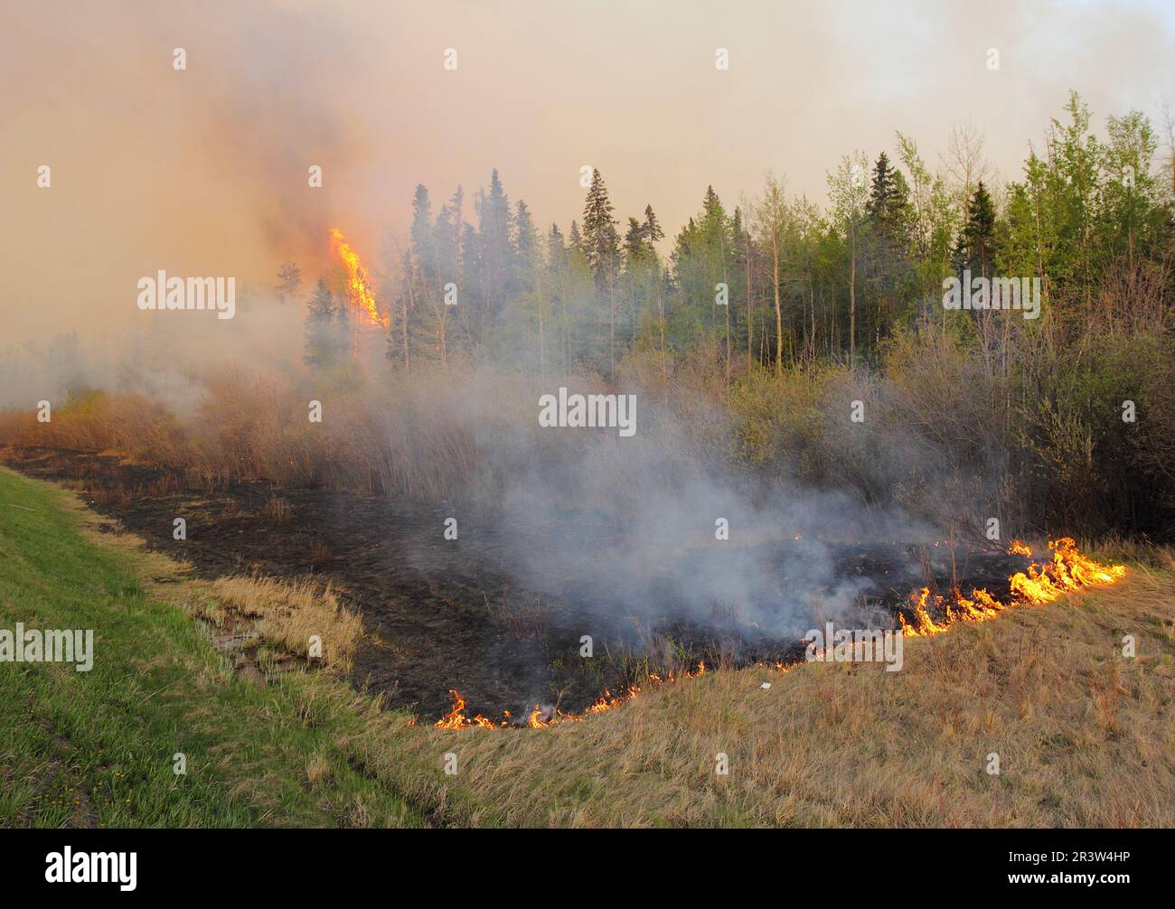 Natural wildfire caused by lightning during a dry season Stock Photo ...