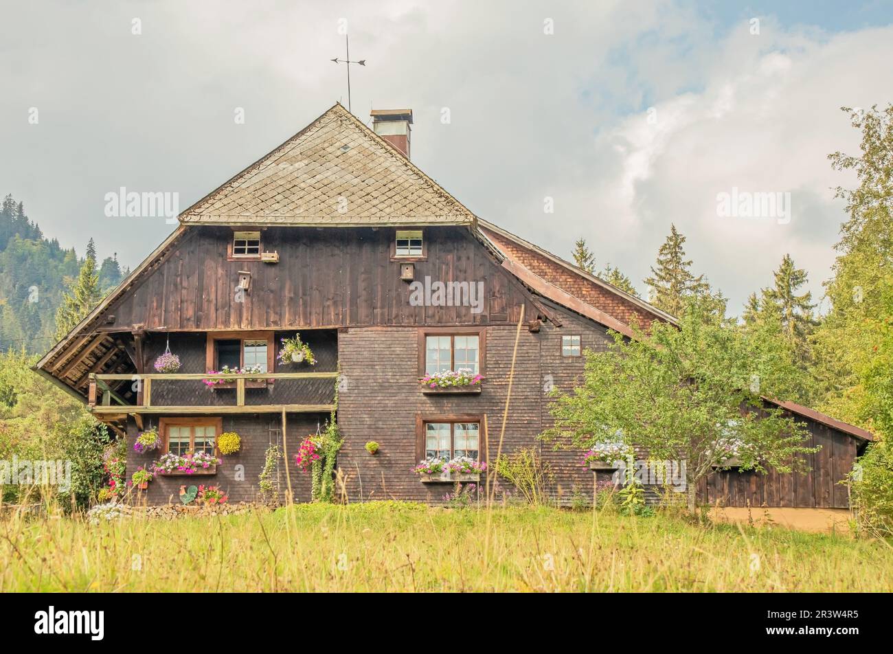Black forest house hi-res stock photography and images - Alamy
