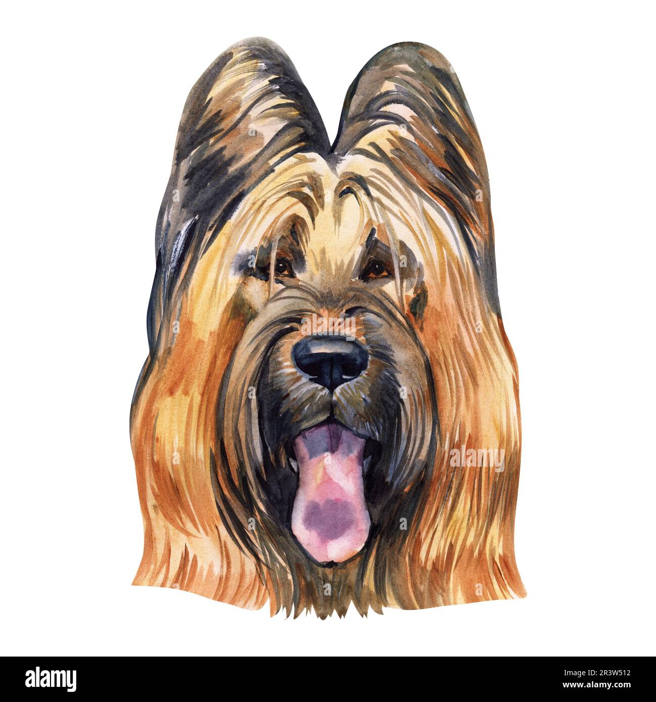 Can Briard Be White