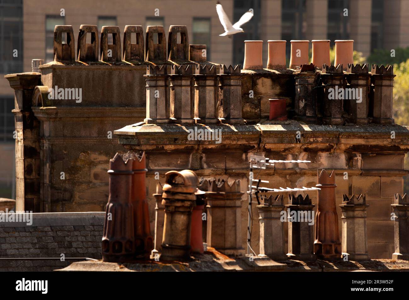 Chimney pots seen rom the Tyne Bridge, Newcastle upon Tyne Stock Photo ...