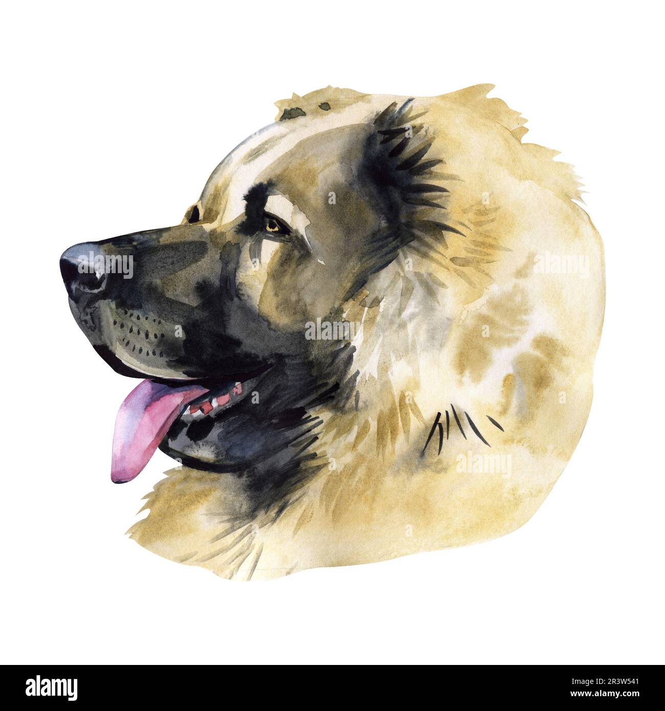 Drawing by shepherd hi-res stock photography and images - Alamy