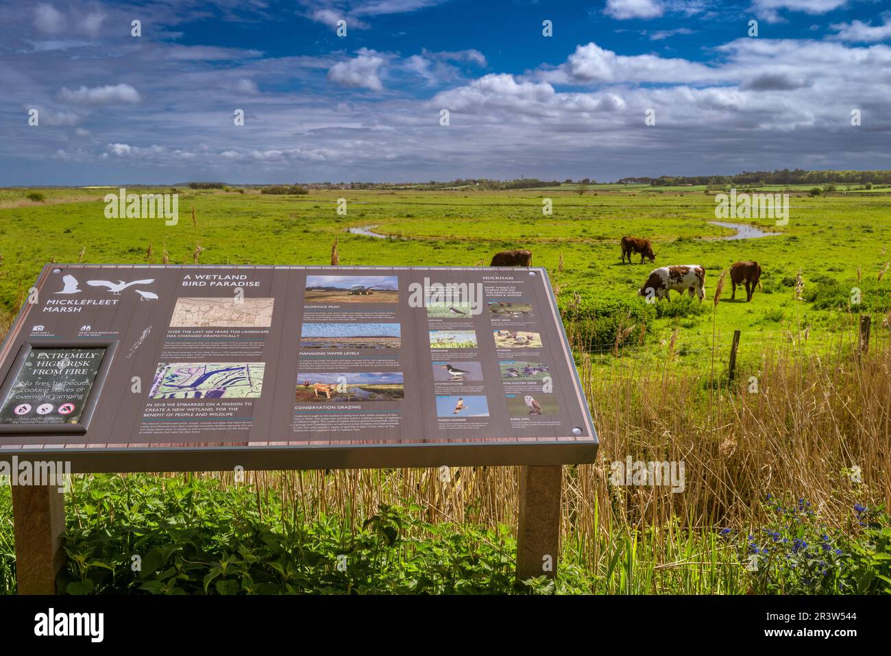 Coastal grazing marsh hi-res stock photography and images - Alamy