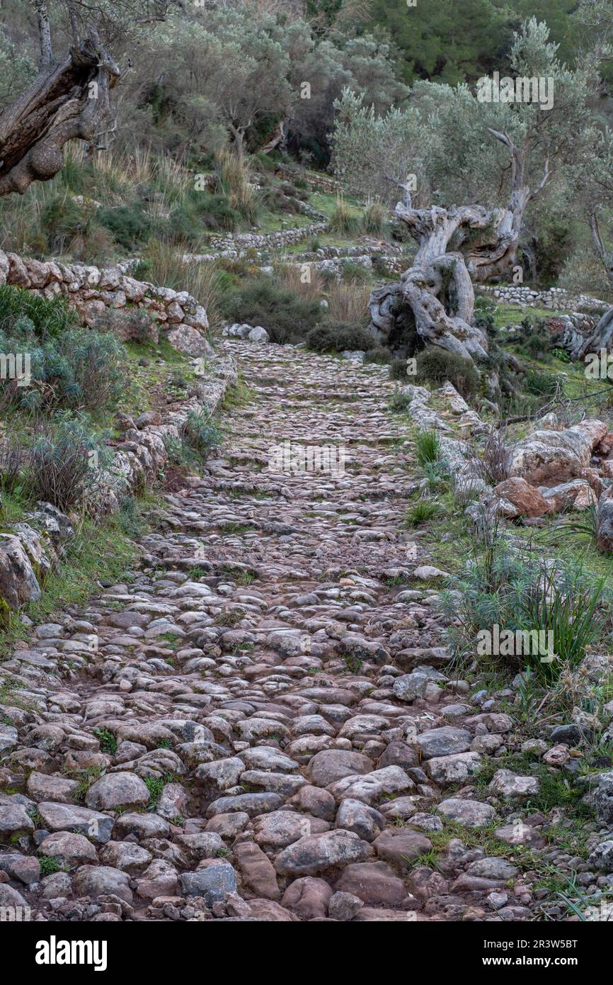 Traditional cobblestone road Stock Photo - Alamy