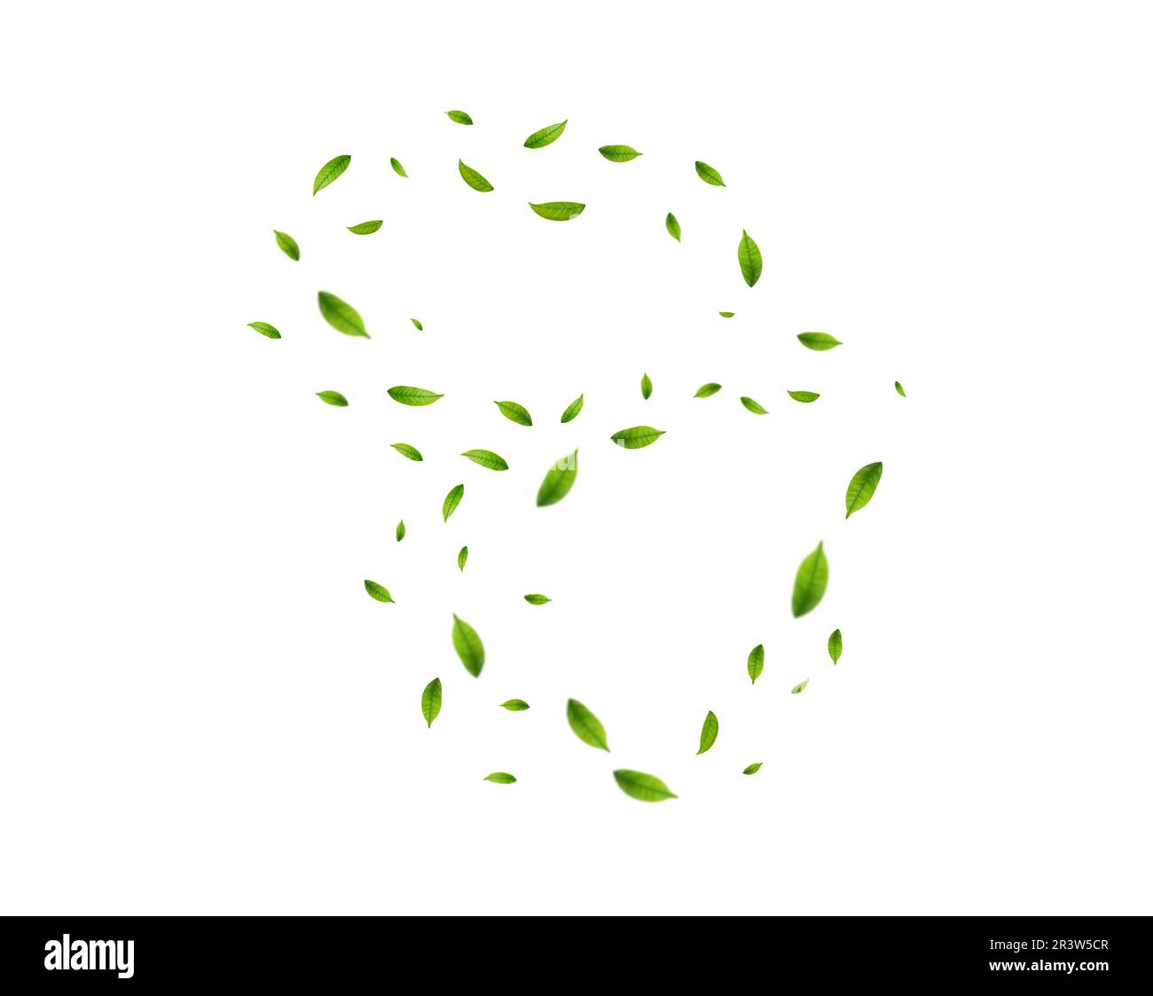 Falling green mint leaves Stock Vector Images - Alamy