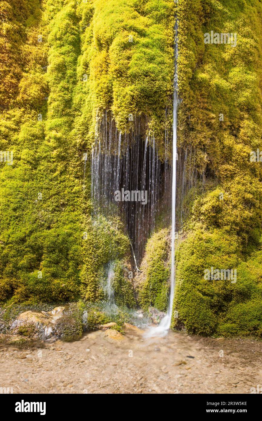 Nohn, DreimÃ¼hlen waterfall, DreimÃ¼hlen waterfall in the Kalkeifel ...