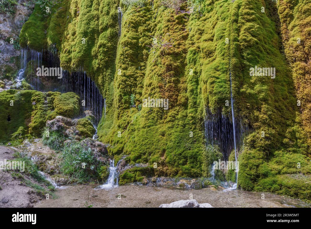 Nohn, DreimÃ¼hlen waterfall, DreimÃ¼hlen waterfall in the Kalkeifel ...