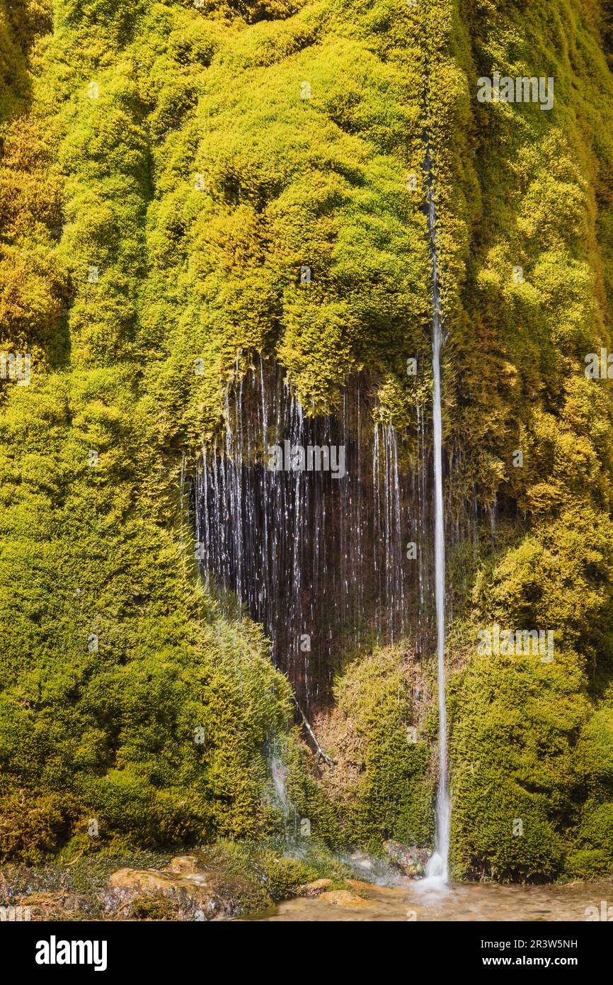 Nohn, DreimÃ¼hlen waterfall, DreimÃ¼hlen waterfall in the Kalkeifel ...
