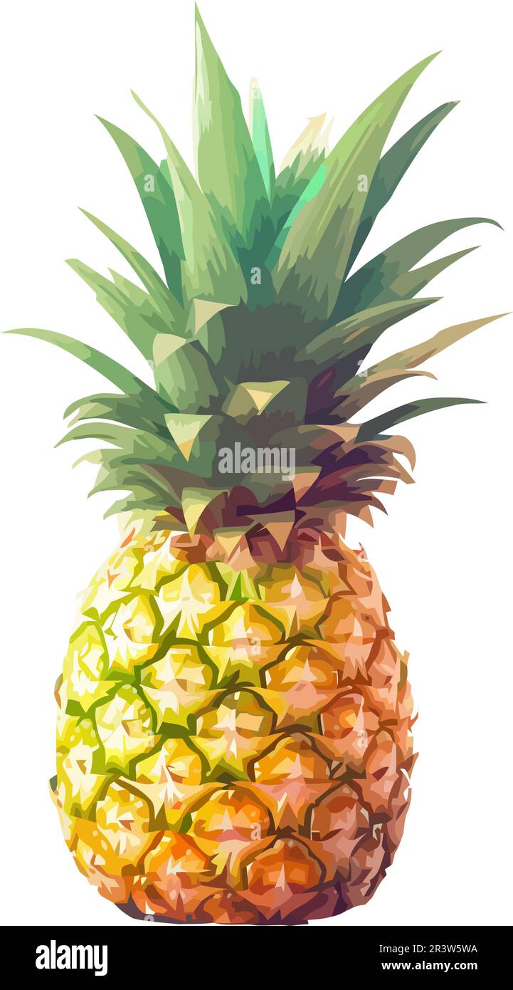 Pineapple close up Stock Vector Images - Alamy