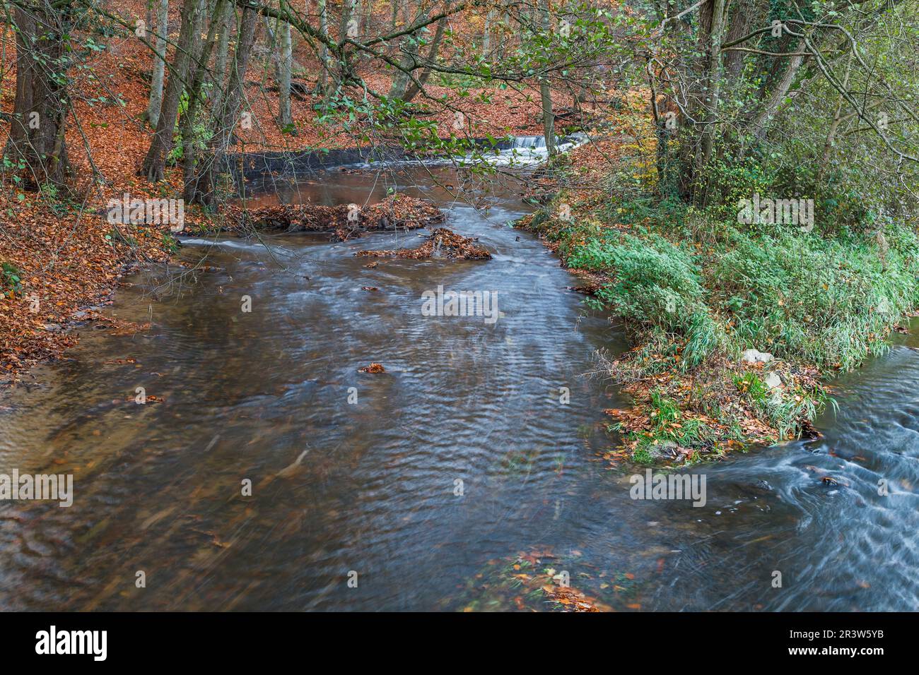 Nettetal with small river in autumn, Wallenhorst-Rulle, OsnabrÃ¼cker ...