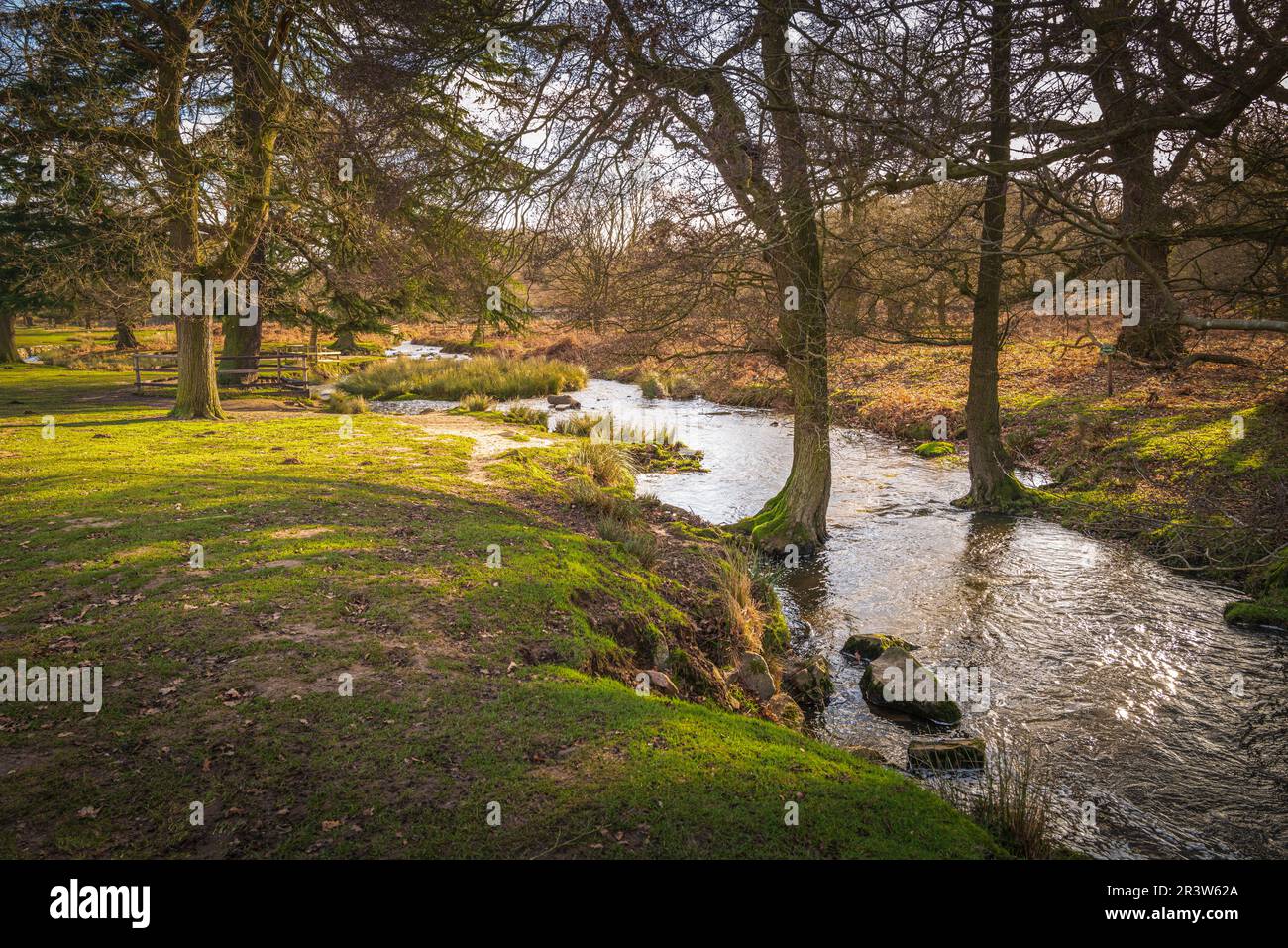 The river Lin flows through Charnwood Forest Stock Photo - Alamy