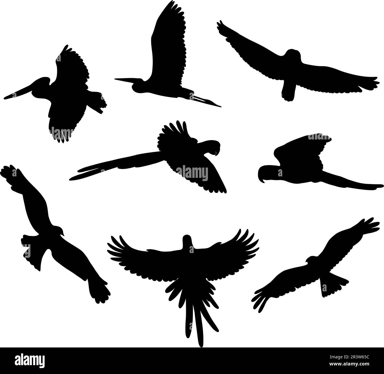 Collection silhouettes flying birds. Beautiful tropical feathered ...