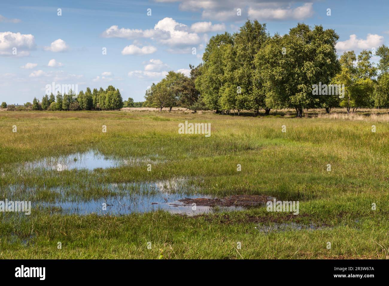 Neusta dter moor hi-res stock photography and images - Alamy