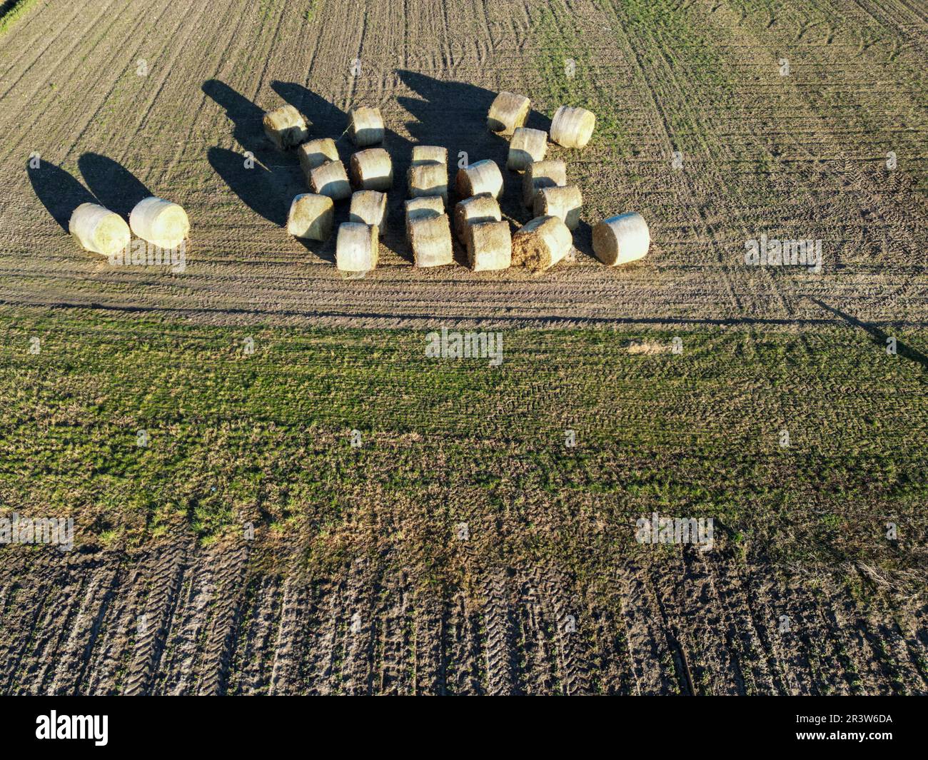 Straw bales on a field Stock Photo - Alamy