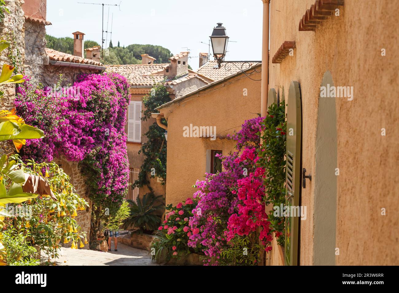 Bormes-les-Mimosas, old town with bougainvillea, Provence, South of ...