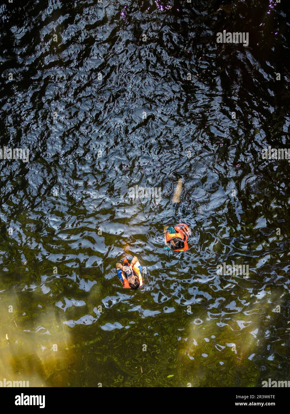 Royal Belum toman fish sanctuary and waterfall Stock Photo - Alamy