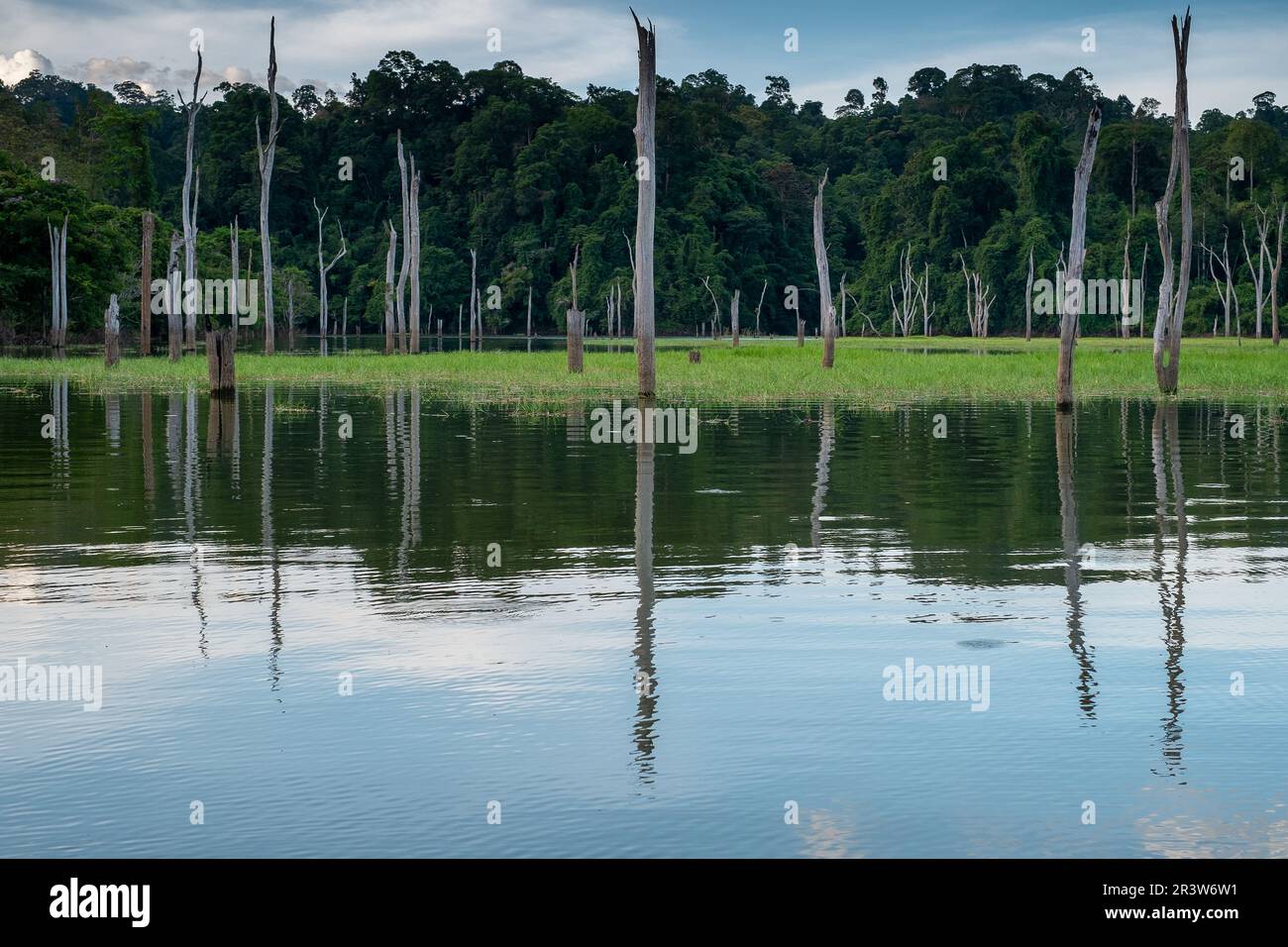 Royal Belum park located at Perak state of Malaysia Stock Photo - Alamy