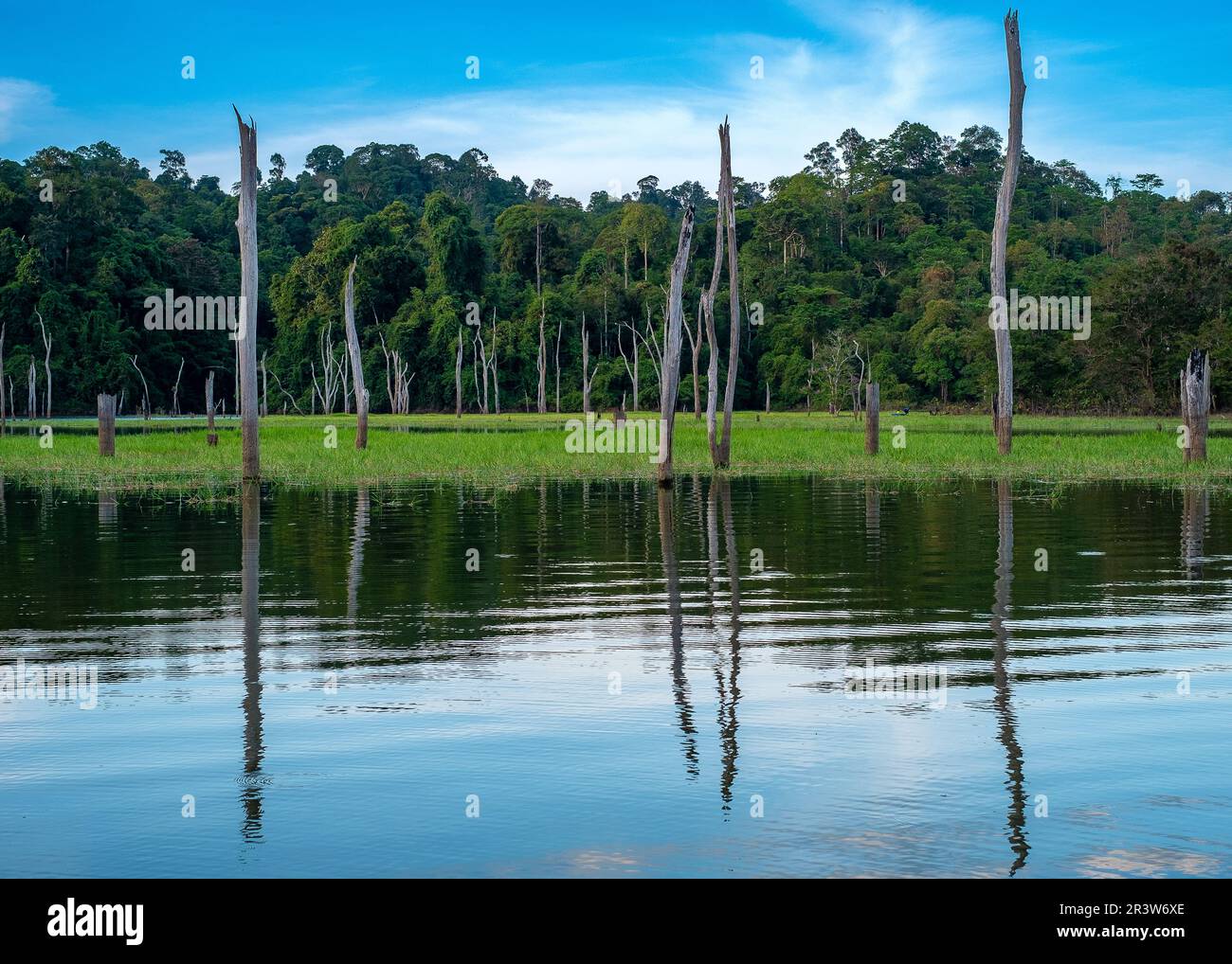 Royal Belum park located at Perak state of Malaysia Stock Photo - Alamy