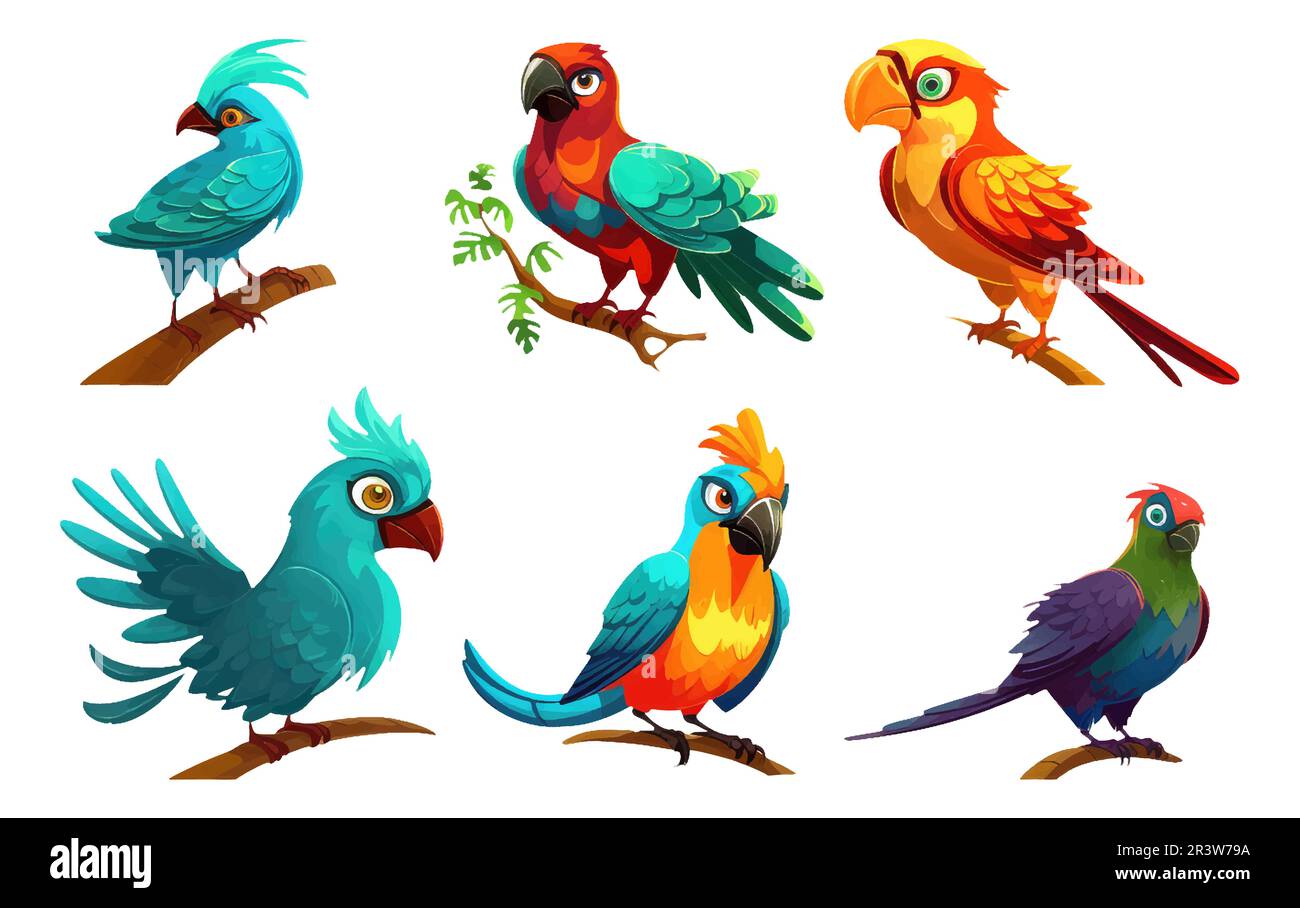 set vector illustration of tropical bird with bright color feathers ...