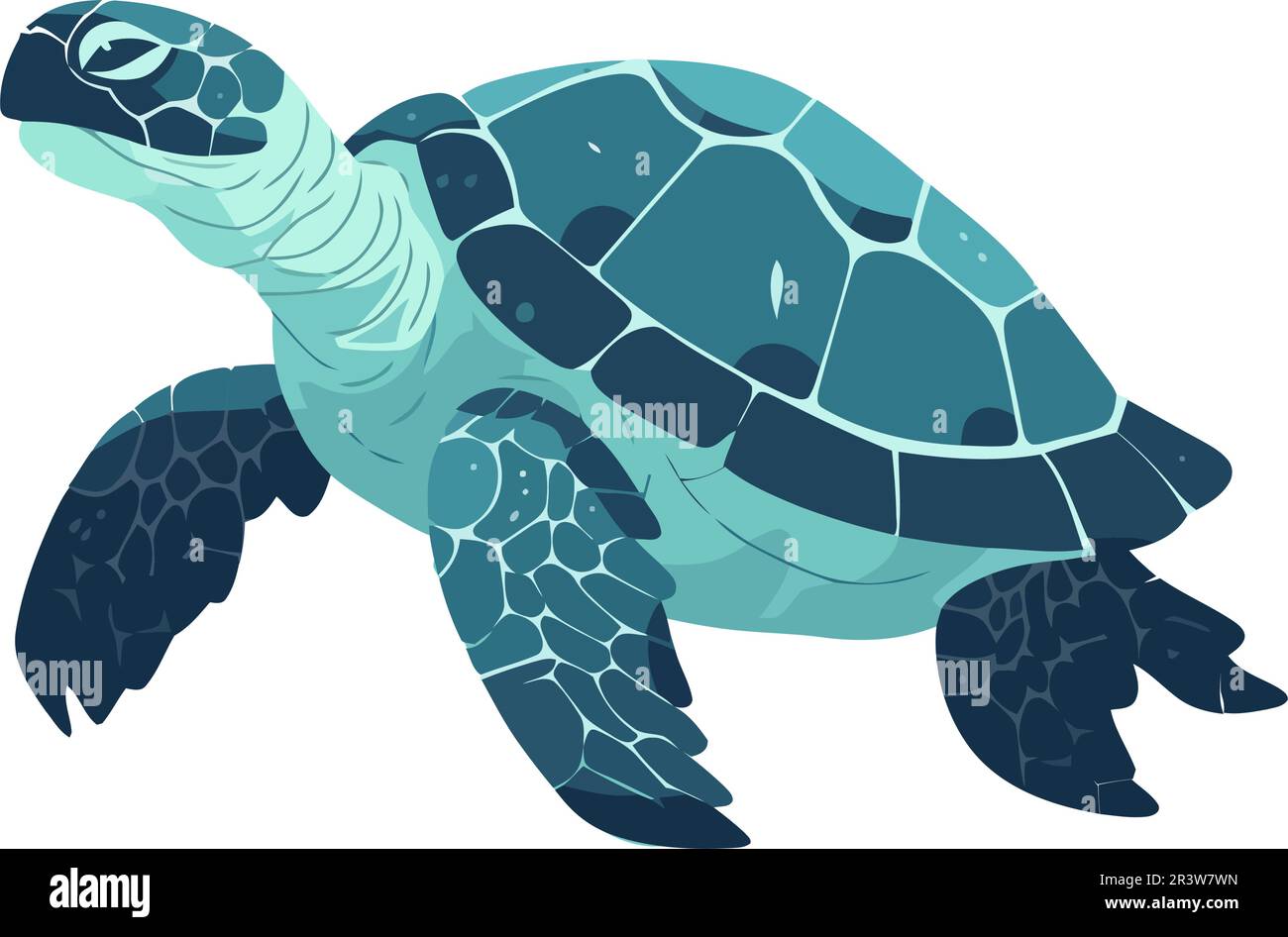 Slow aquatic reptile, sea turtle, swimming underwater Stock Vector ...