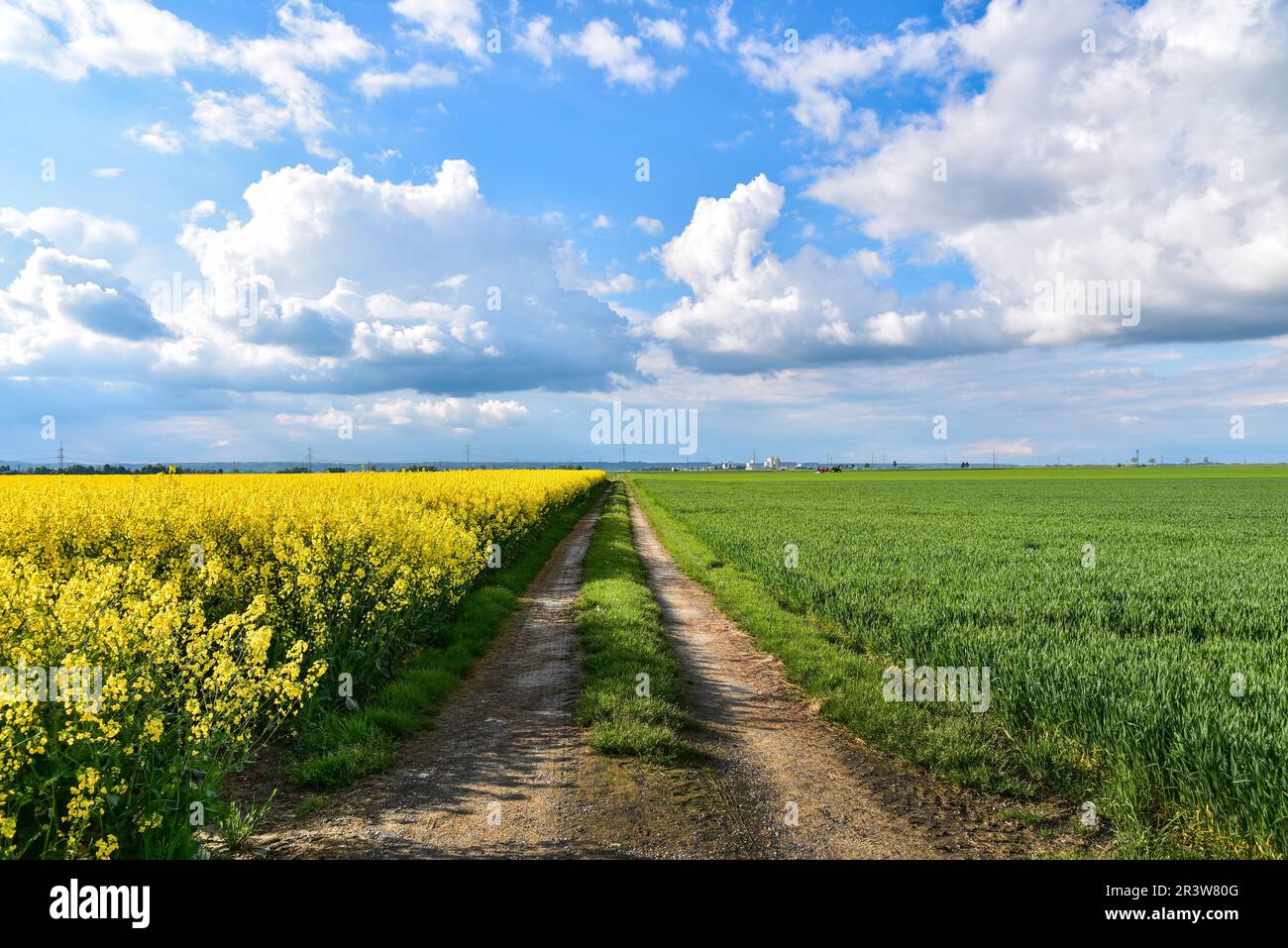 3334b6zy hi-res stock photography and images - Alamy