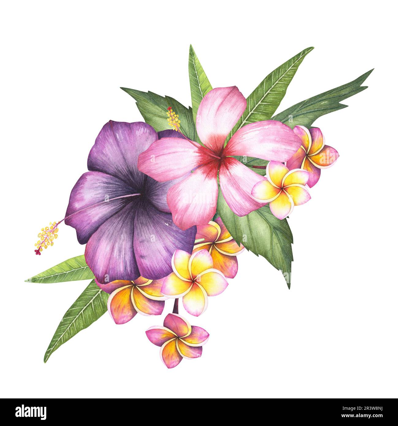 Pink Hibiscus Flower Drawing