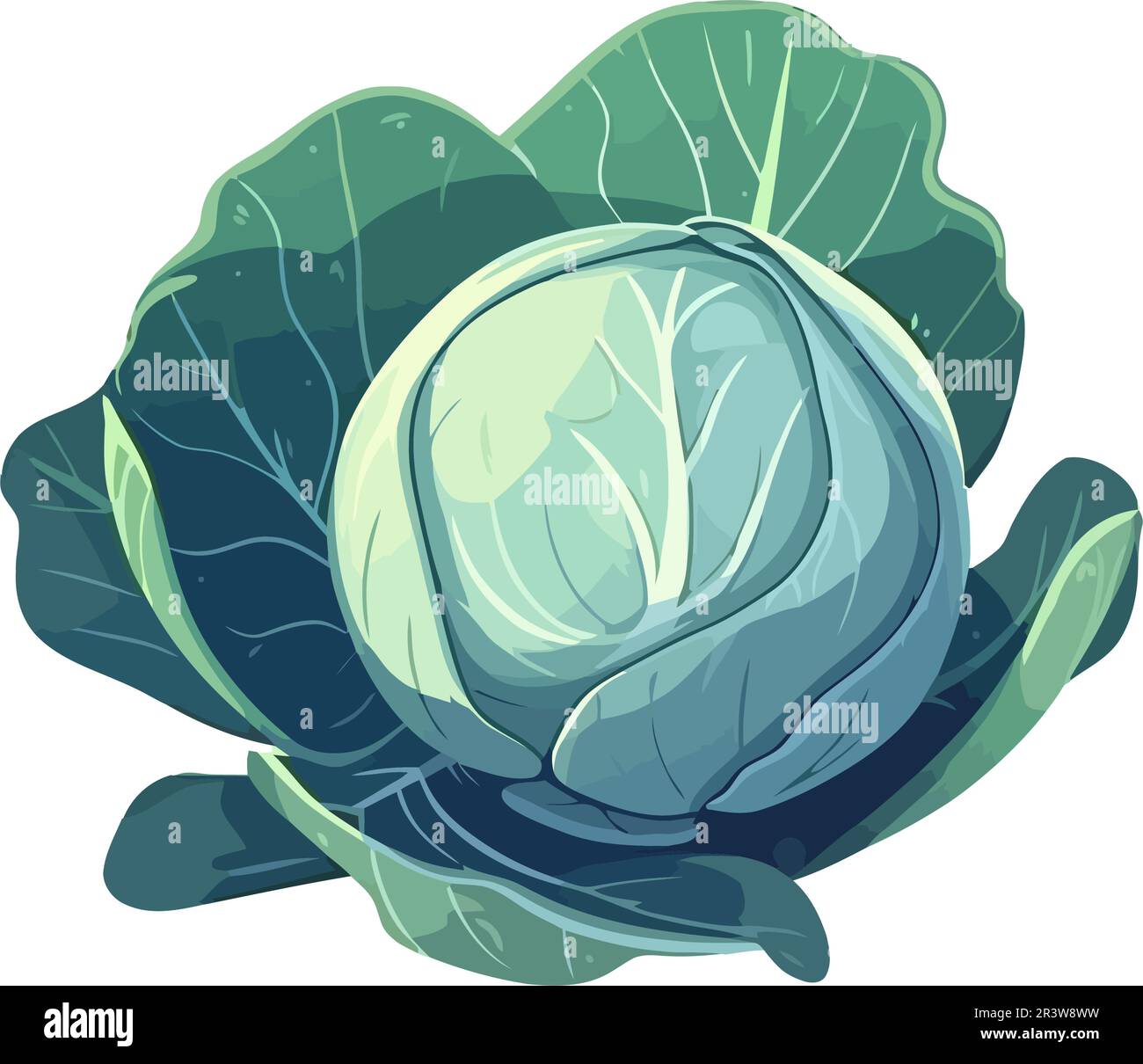 Fresh vegetarian kale ripe Stock Vector Images - Alamy