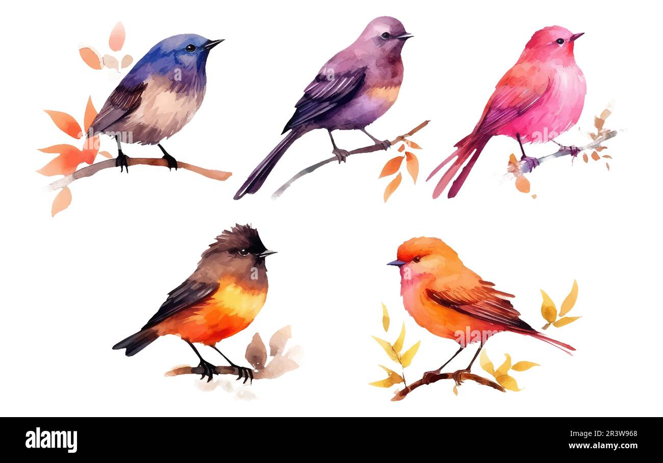 Watercolor birds on branch Stock Vector Images - Alamy