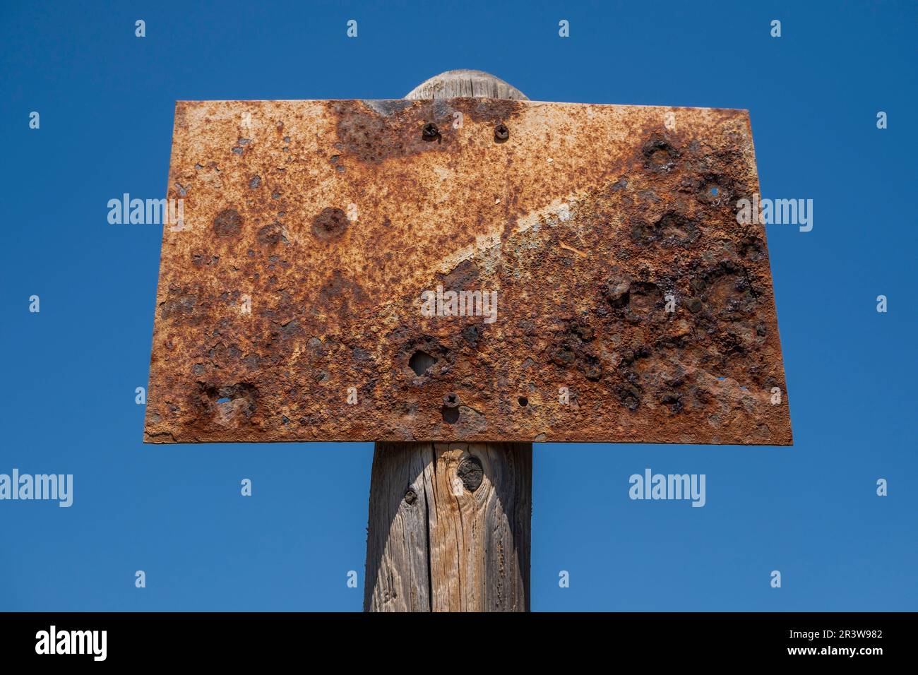 Rust Sign Orthopedic Test