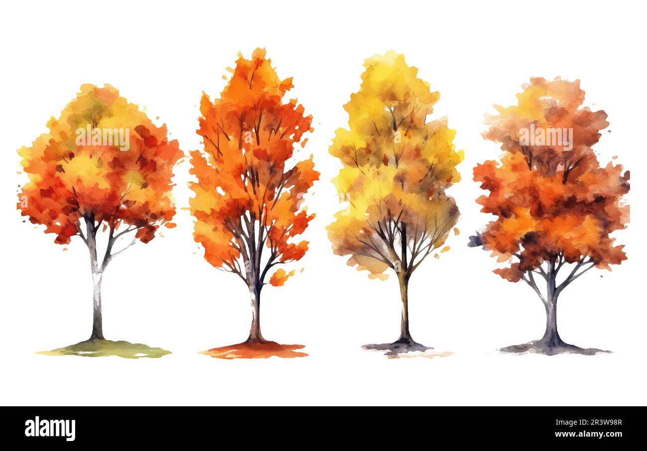 watercolor set vector illustration of colorful autumn tree isolated on ...