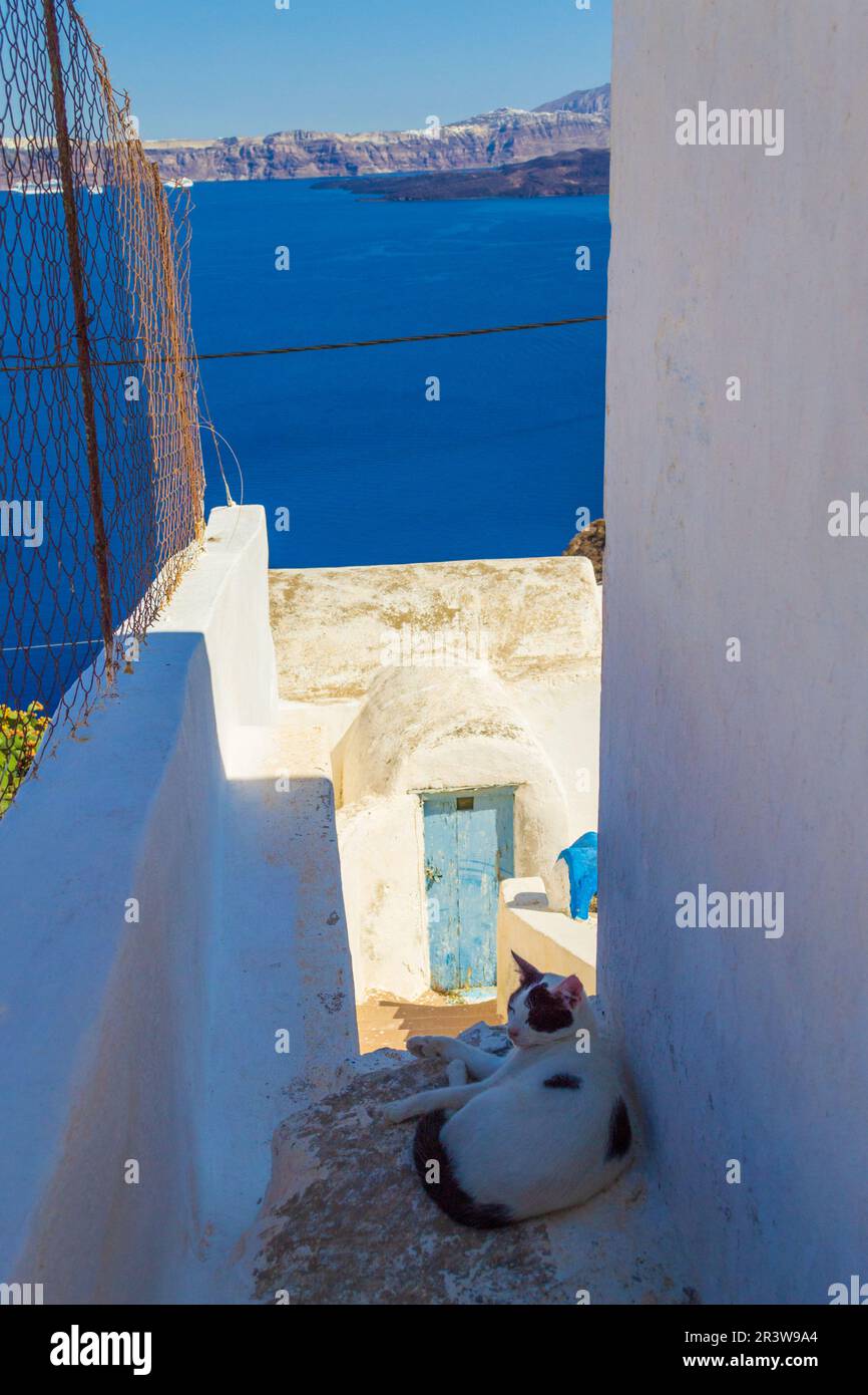 Traditional old cave houses from Thirasia island opposite Santorini ...