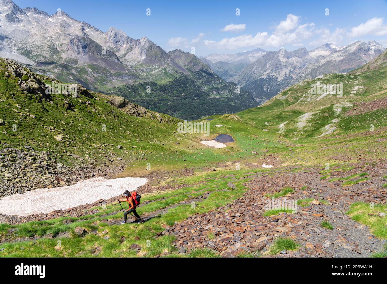 Coth hi-res stock photography and images - Alamy