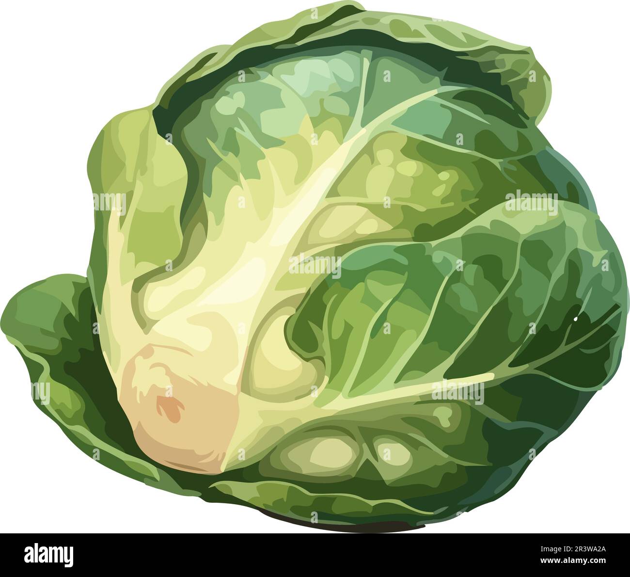 Fresh organic kale, a symbol of healthy eating Stock Vector Image & Art ...