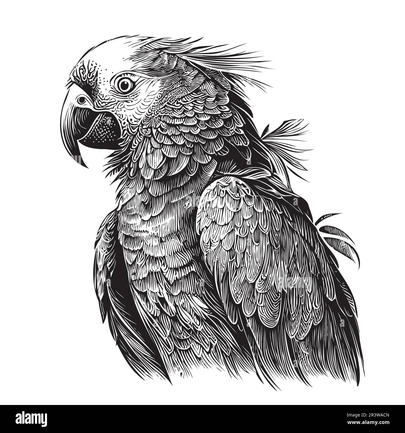 Parrot portrait hand drawn sketch Vector illustration Birds Stock ...