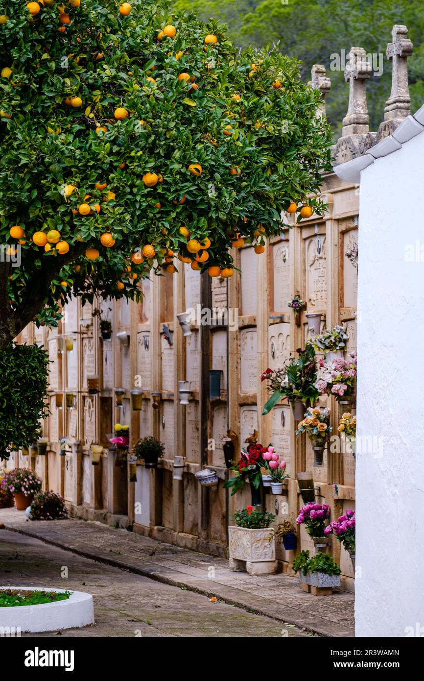 South cemetery with columbarium hi-res stock photography and images - Alamy