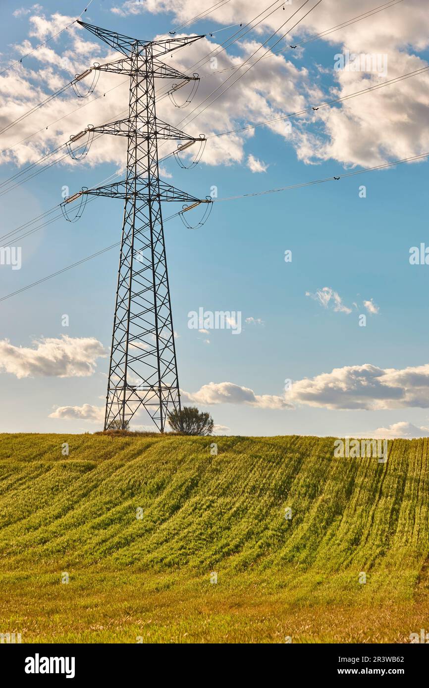 Power lines. Energy industry. Industrial electricity trasmission ...