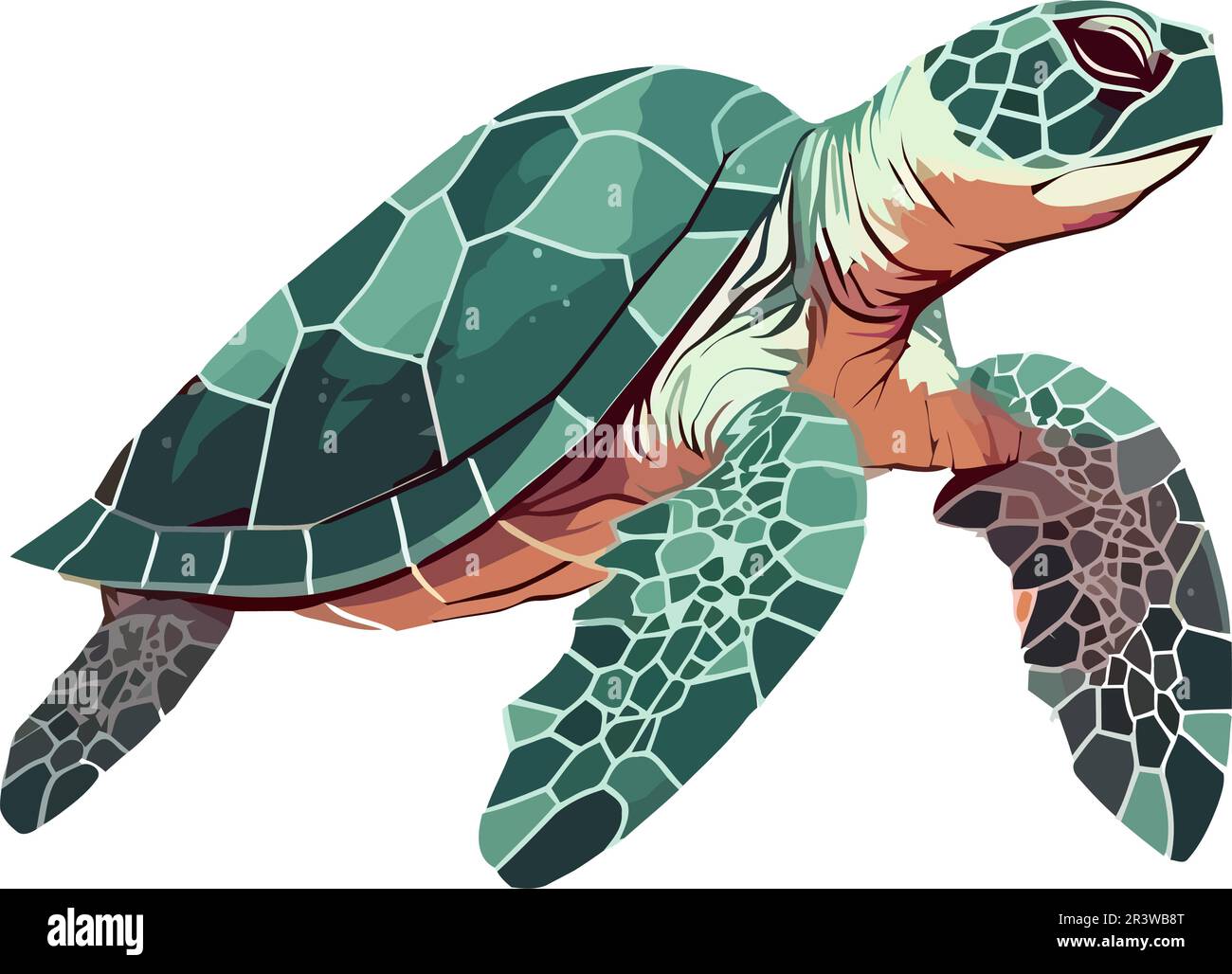 Slow turtle crawls on reef, nature mascot Stock Vector Image & Art - Alamy