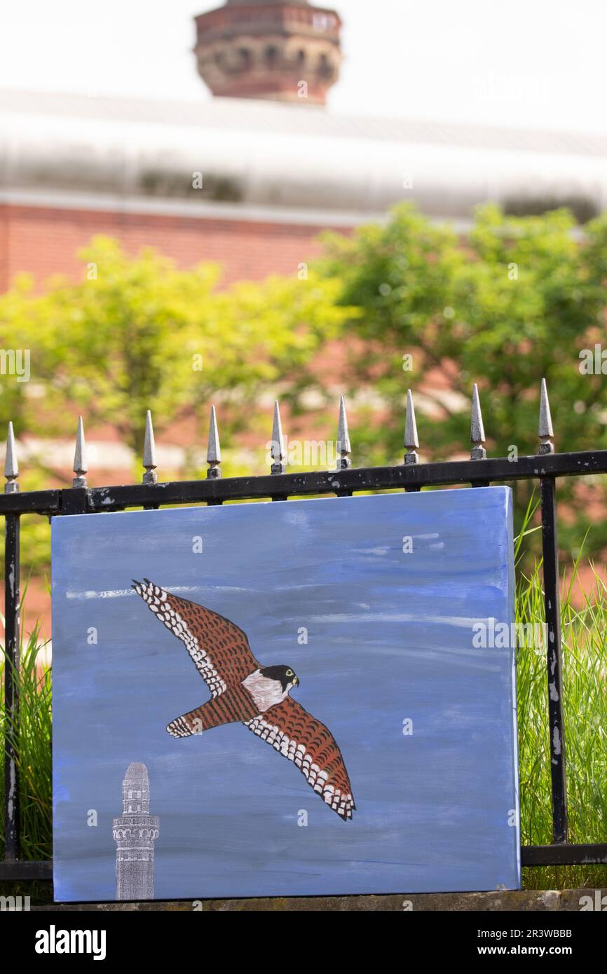 Manchester UK. 23 May 2023 'The screaming Peregrine' art work ...