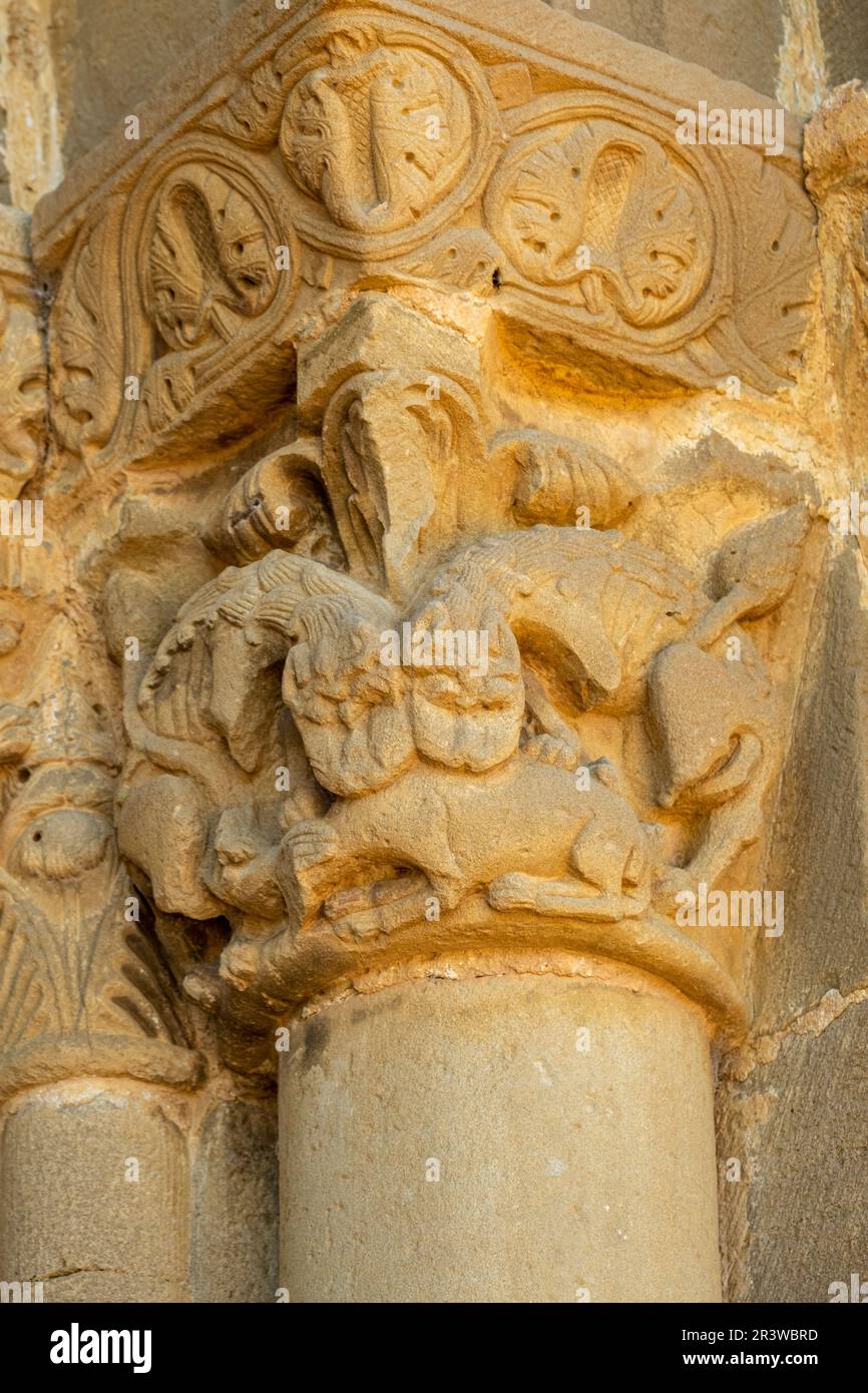 Lions devouring a goat Stock Photo - Alamy
