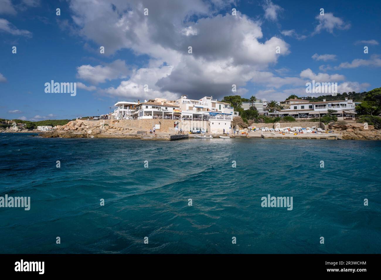 Spanish elm hi-res stock photography and images - Alamy