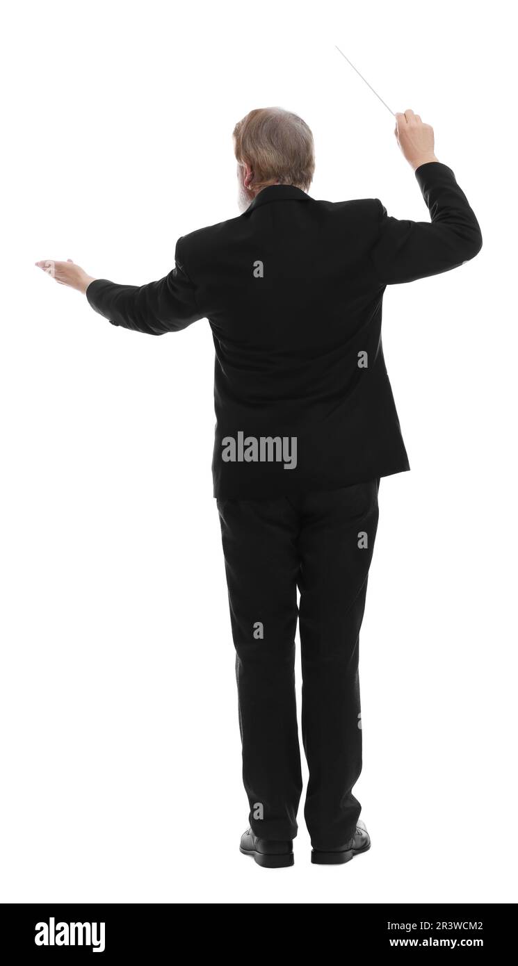 Professional conductor with baton on white background, back view Stock ...