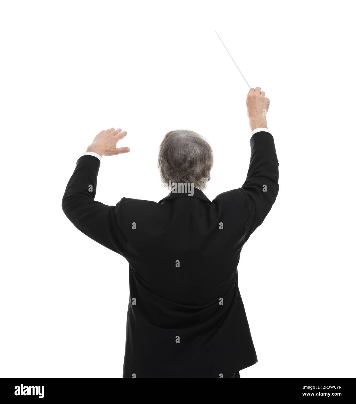 Professional conductor with baton on white background, back view Stock ...