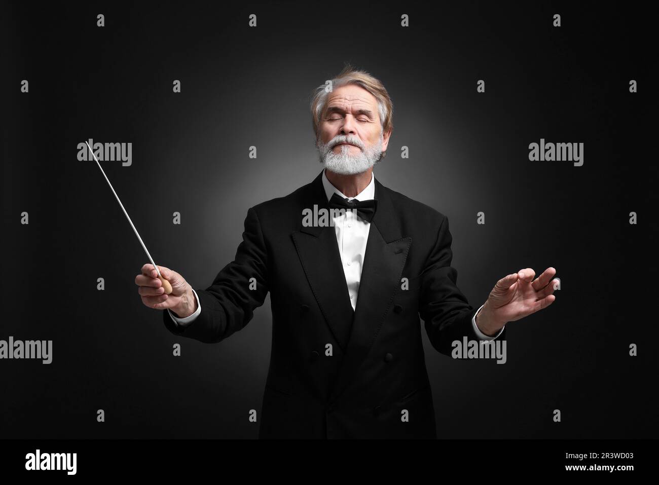 Professional conductor with baton on black background Stock Photo - Alamy