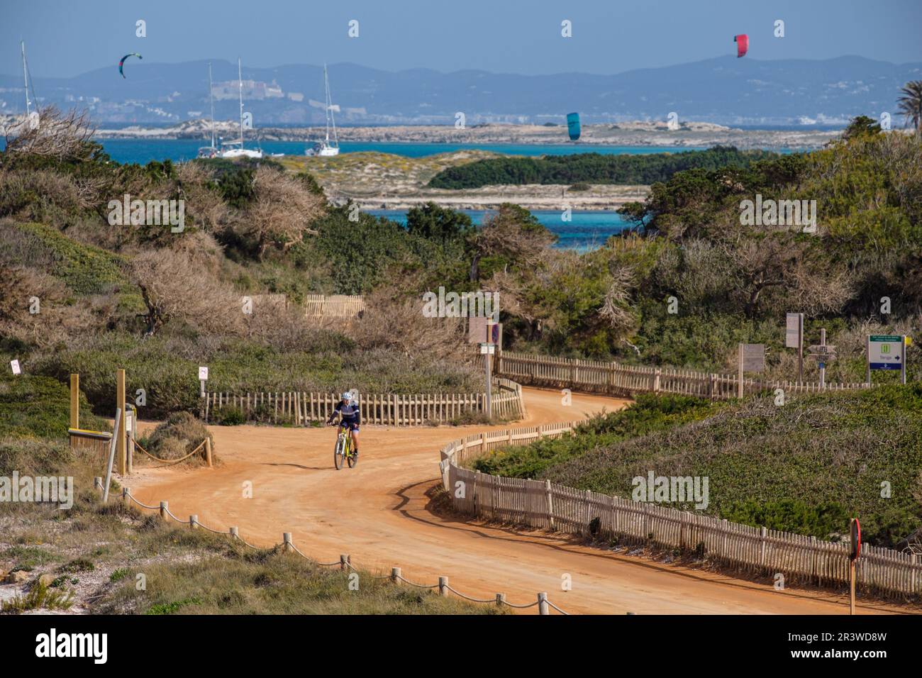 Tourist cycle on Illetes Path Stock Photo - Alamy