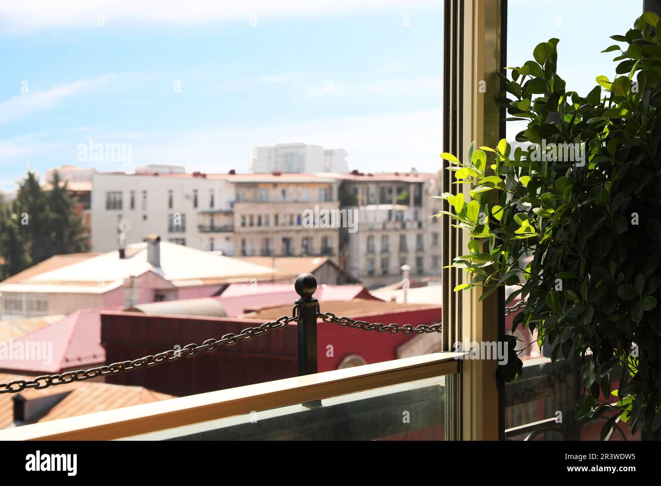 Indoor terrace with beautiful houseplant. Interior design Stock Photo ...