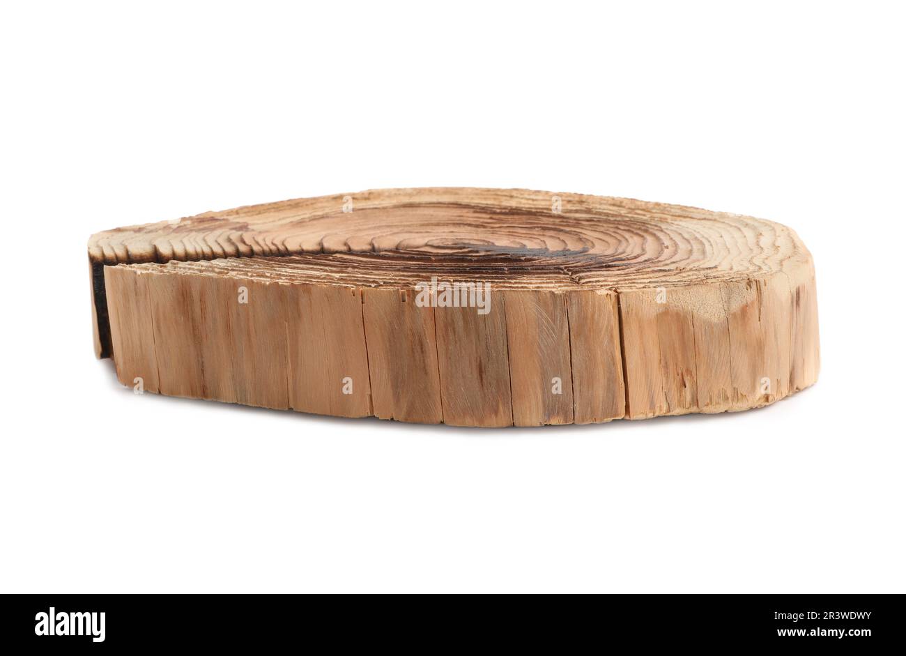 Cracked tree stump as decorative stand isolated on white Stock Photo ...