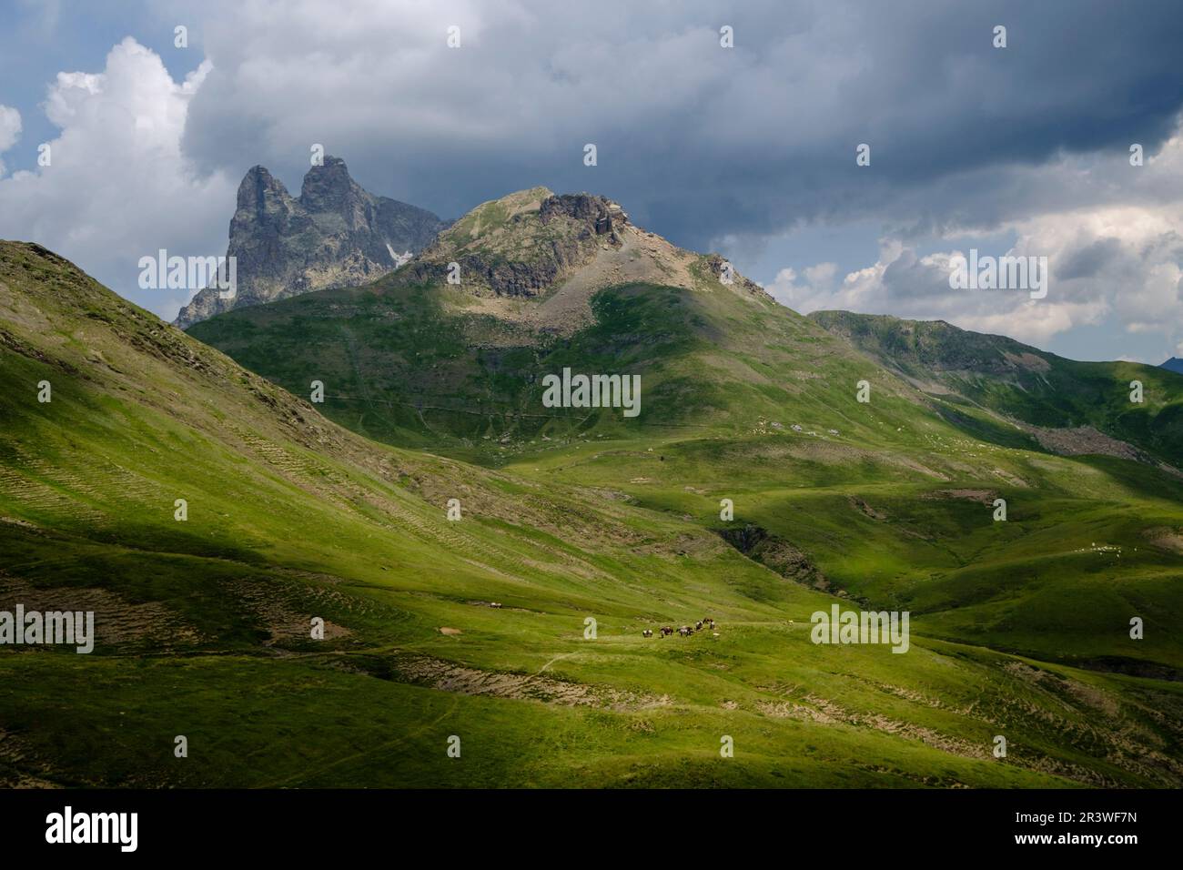 Col ou col hi-res stock photography and images - Alamy