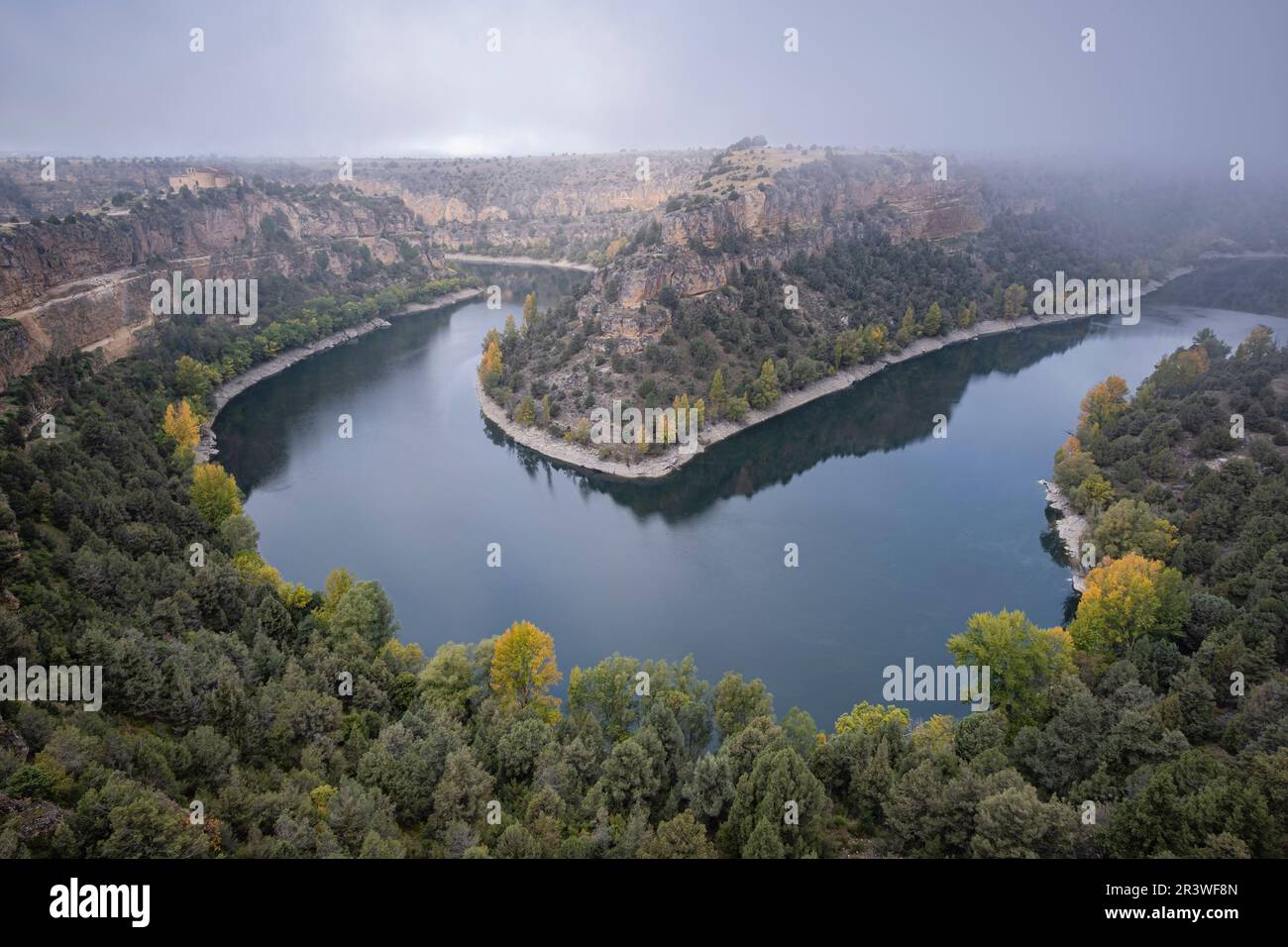 Epigénesis hi-res stock photography and images - Alamy